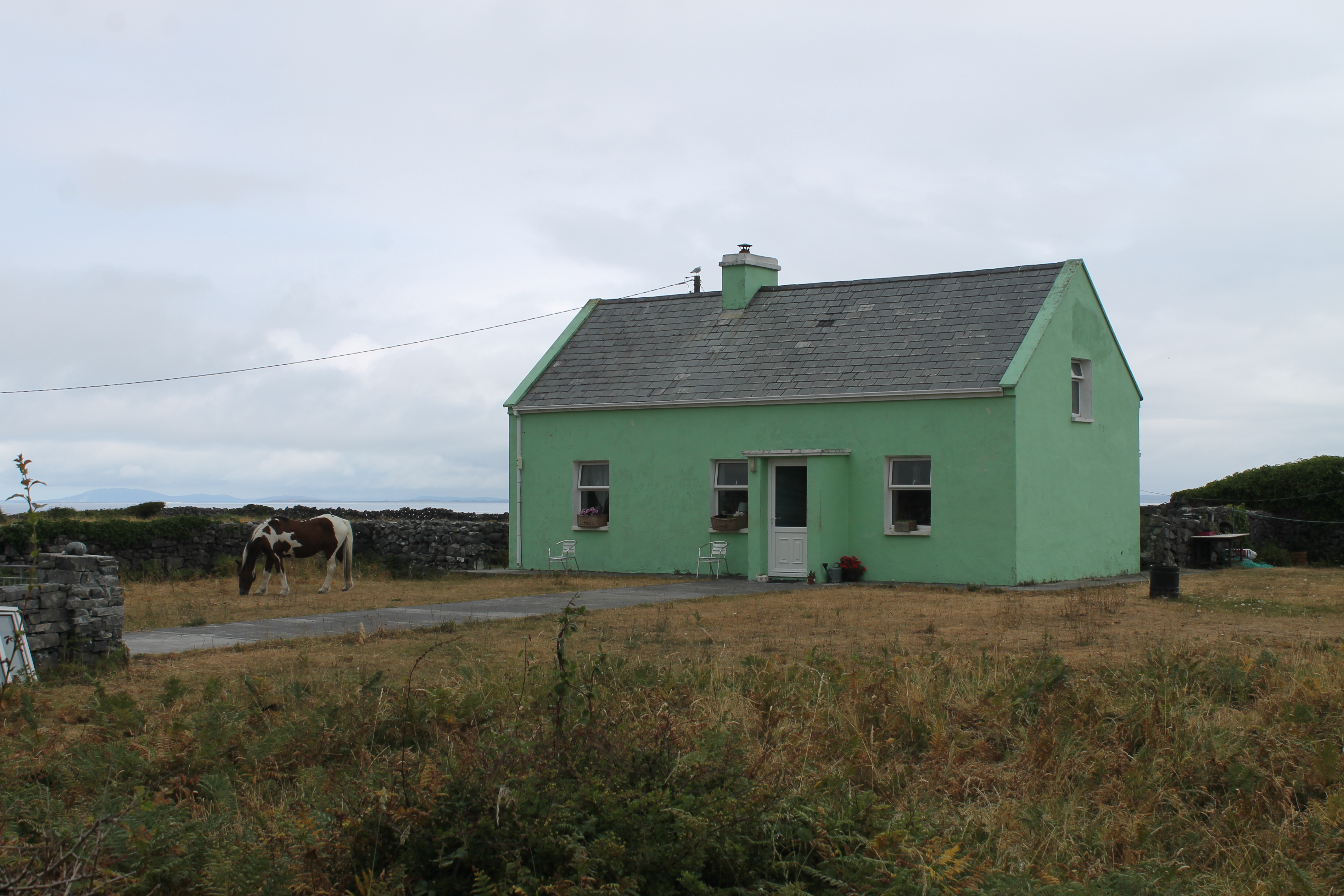 Journée sur l’île d’Inis Mór, à la découverte d’une terre irlandaise ...